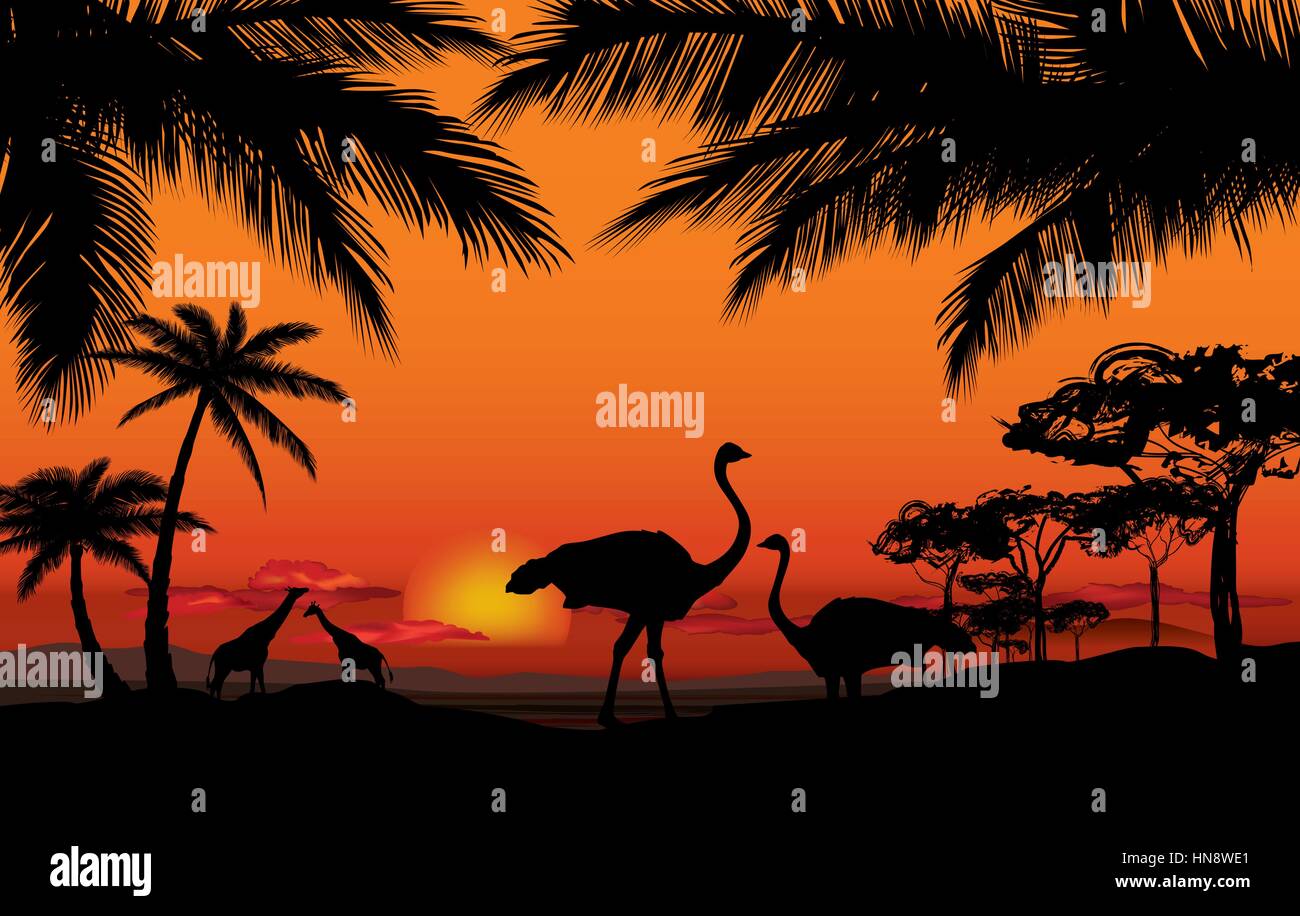 African landscape with animal silhouette. Savanna sunset background ...