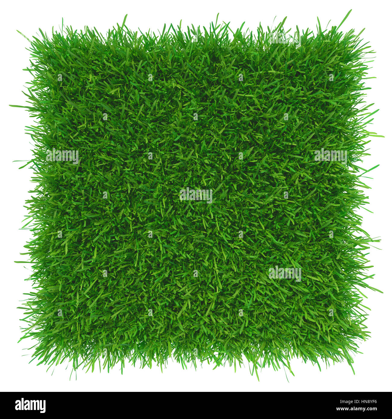 Green grass. natural background texture Stock Photo - Alamy