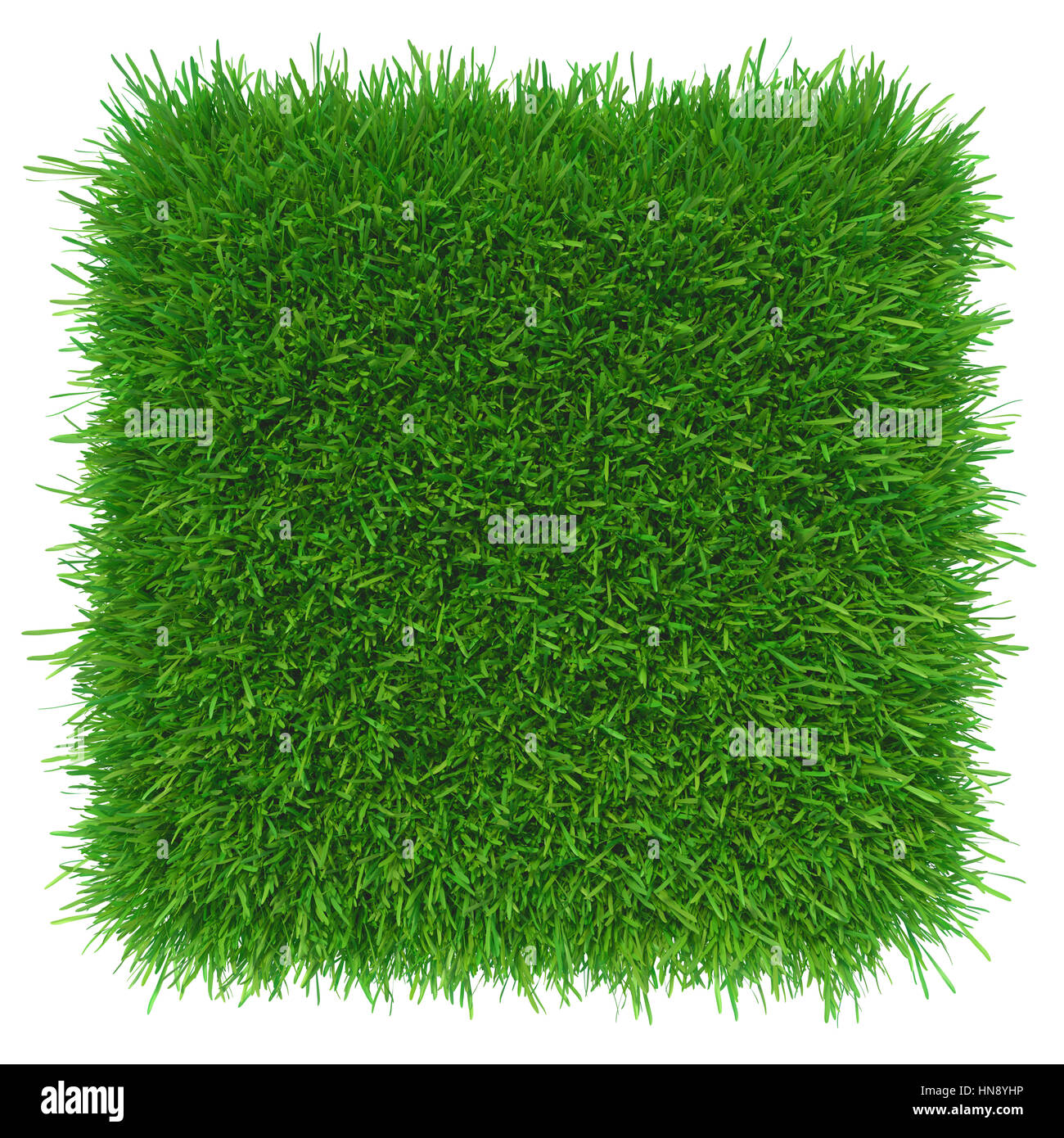 Green grass. natural background texture Stock Photo - Alamy
