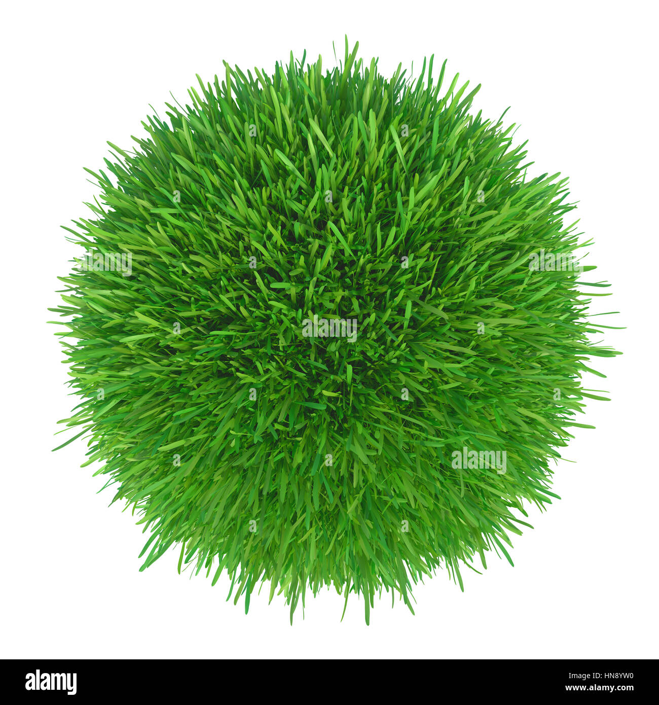 round piece of cropped grass to be installed Stock Photo - Alamy