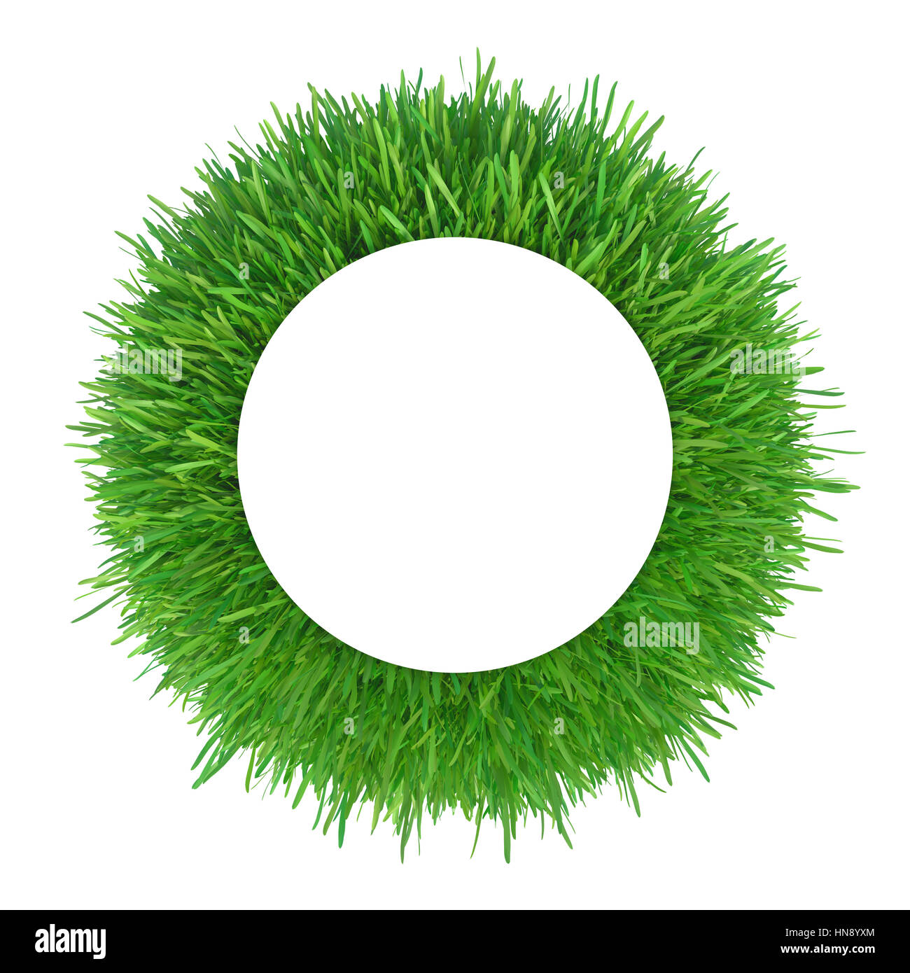 Grass plant nature scene Cut Out Stock Images & Pictures - Alamy