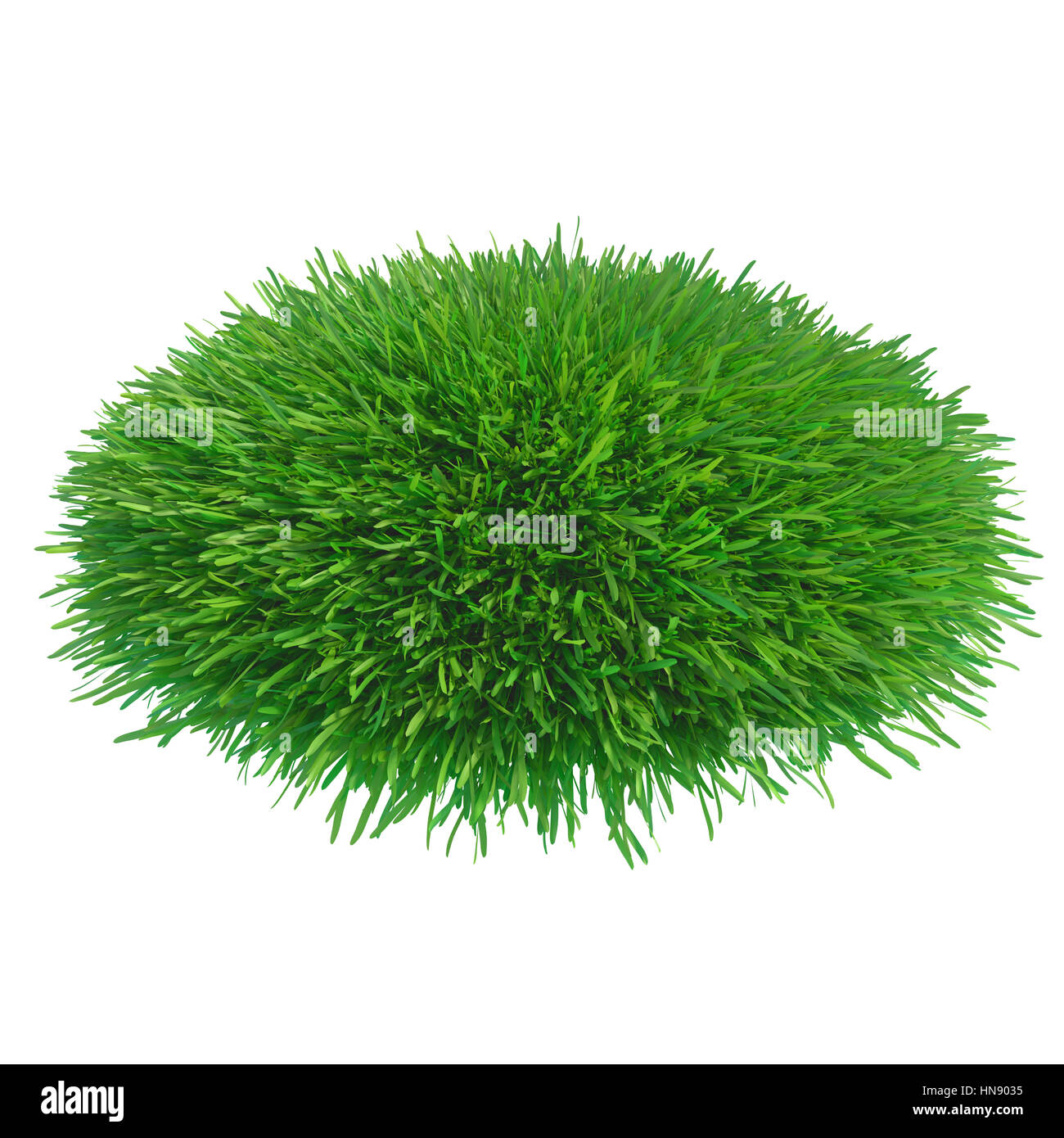 round piece of cropped grass to be installed Stock Photo - Alamy