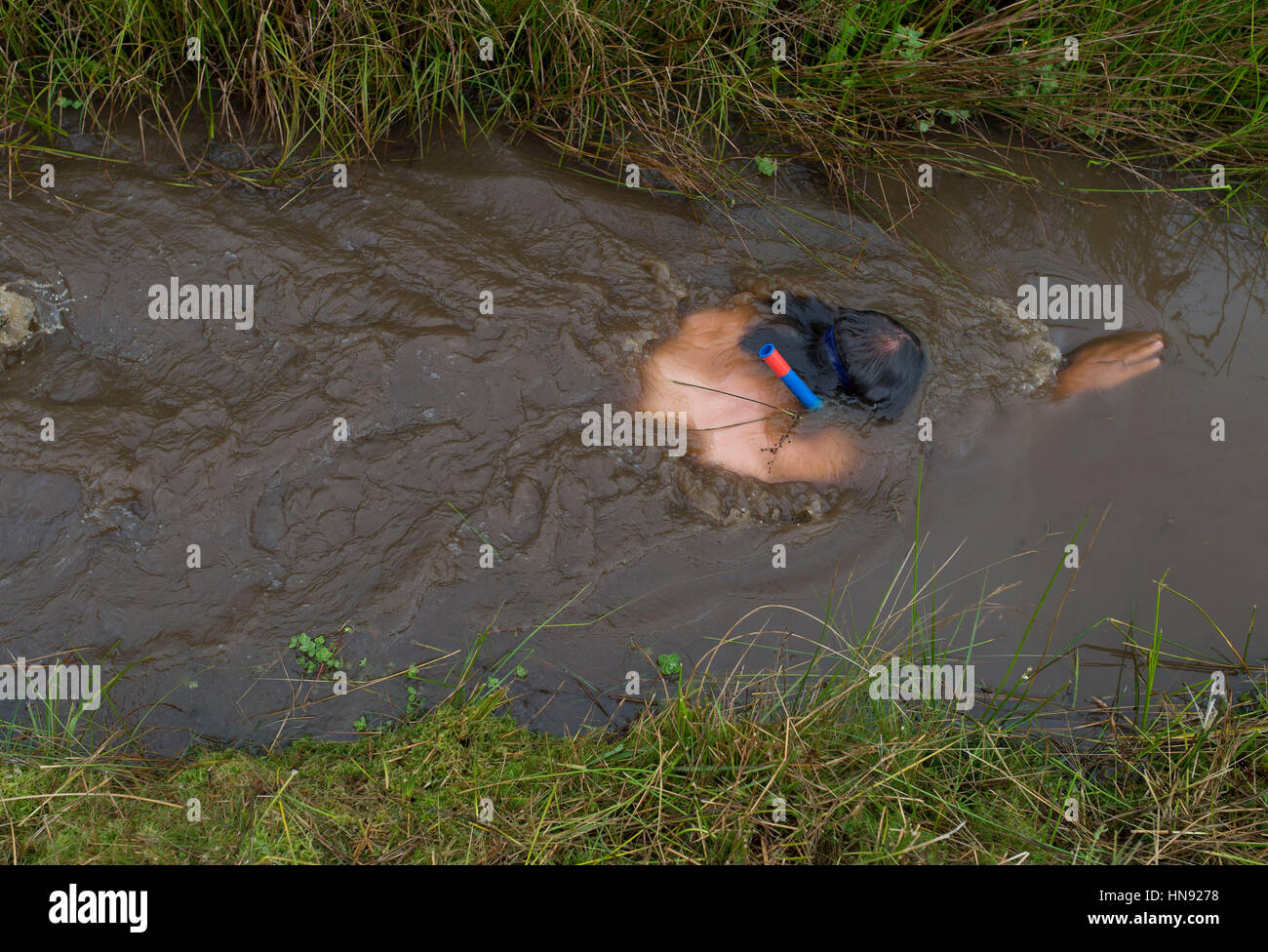 Mud bog hi-res stock photography and images - Alamy