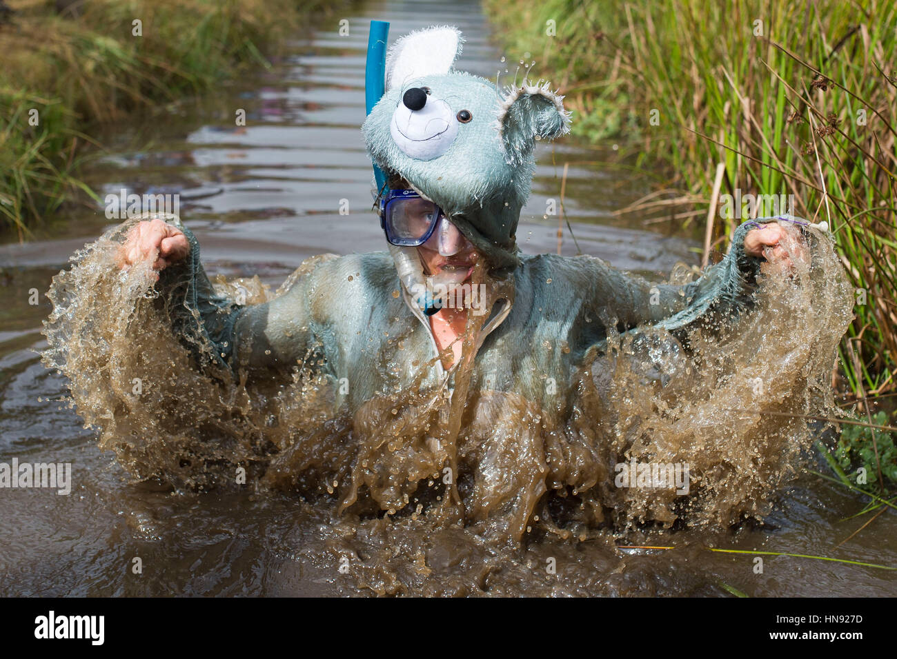 Annual bog snorkelling championship event at Llanwrtyd Wells in Wales ...