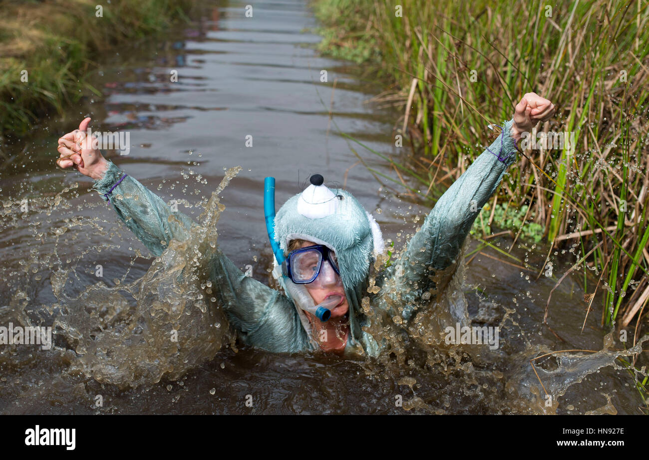 Annual bog snorkelling championship event at Llanwrtyd Wells in Wales ...