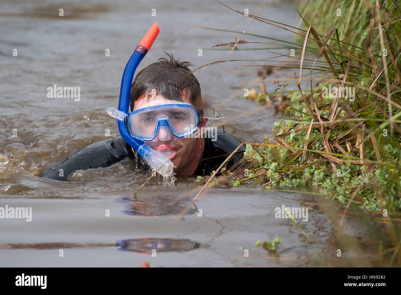 Annual bog snorkelling championship event at Llanwrtyd Wells in Wales ...