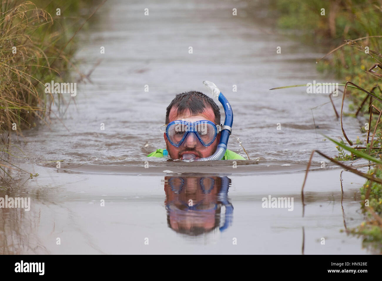 Annual bog snorkelling championship event at Llanwrtyd Wells in Wales ...