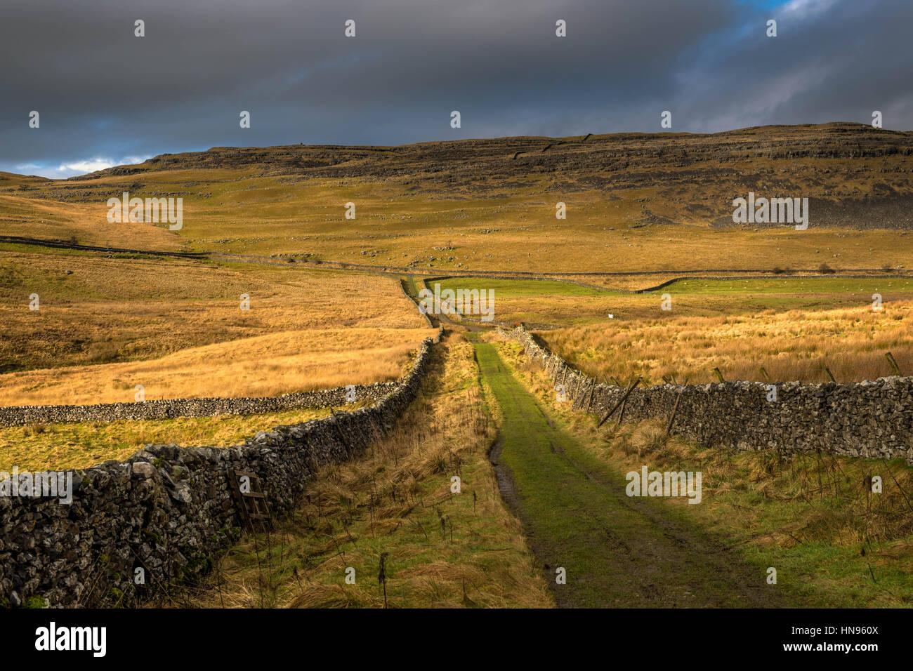 Twisleton Lane above Ingleton in The Yorkshire Dales Stock Photo - Alamy
