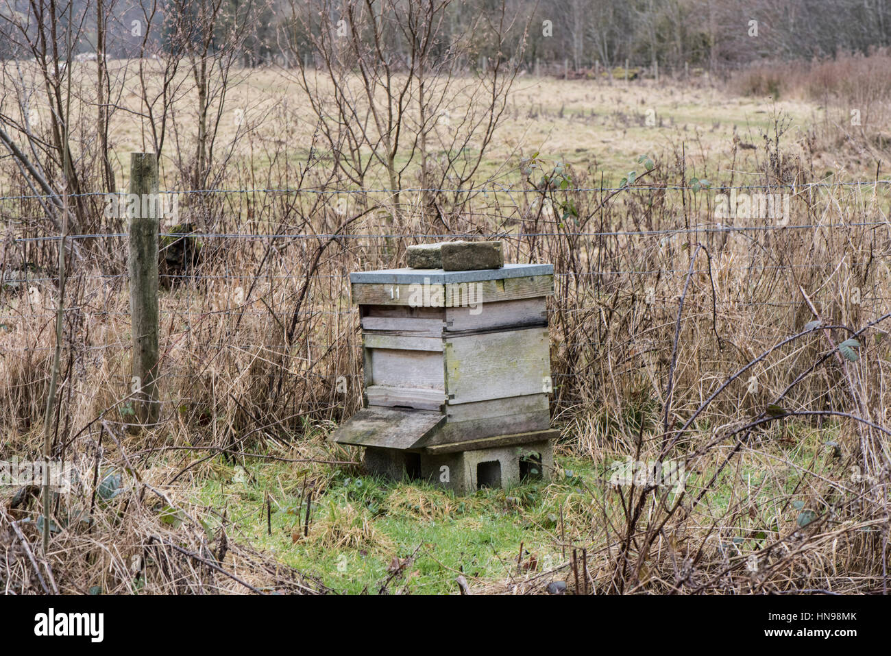 National cedar wood bee hive in winter, North Yorkshire, UK Stock Photo ...