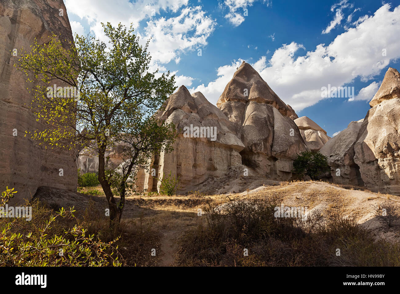 Formation of stone pillars in the desert in Cappadocia, Turkey Stock ...