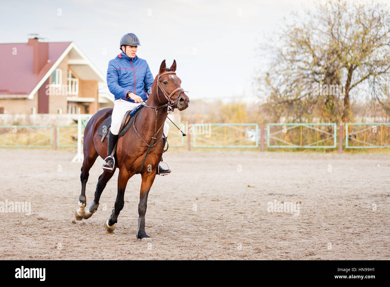 Young sportsman riding horse on equestrian training Stock Photo - Alamy