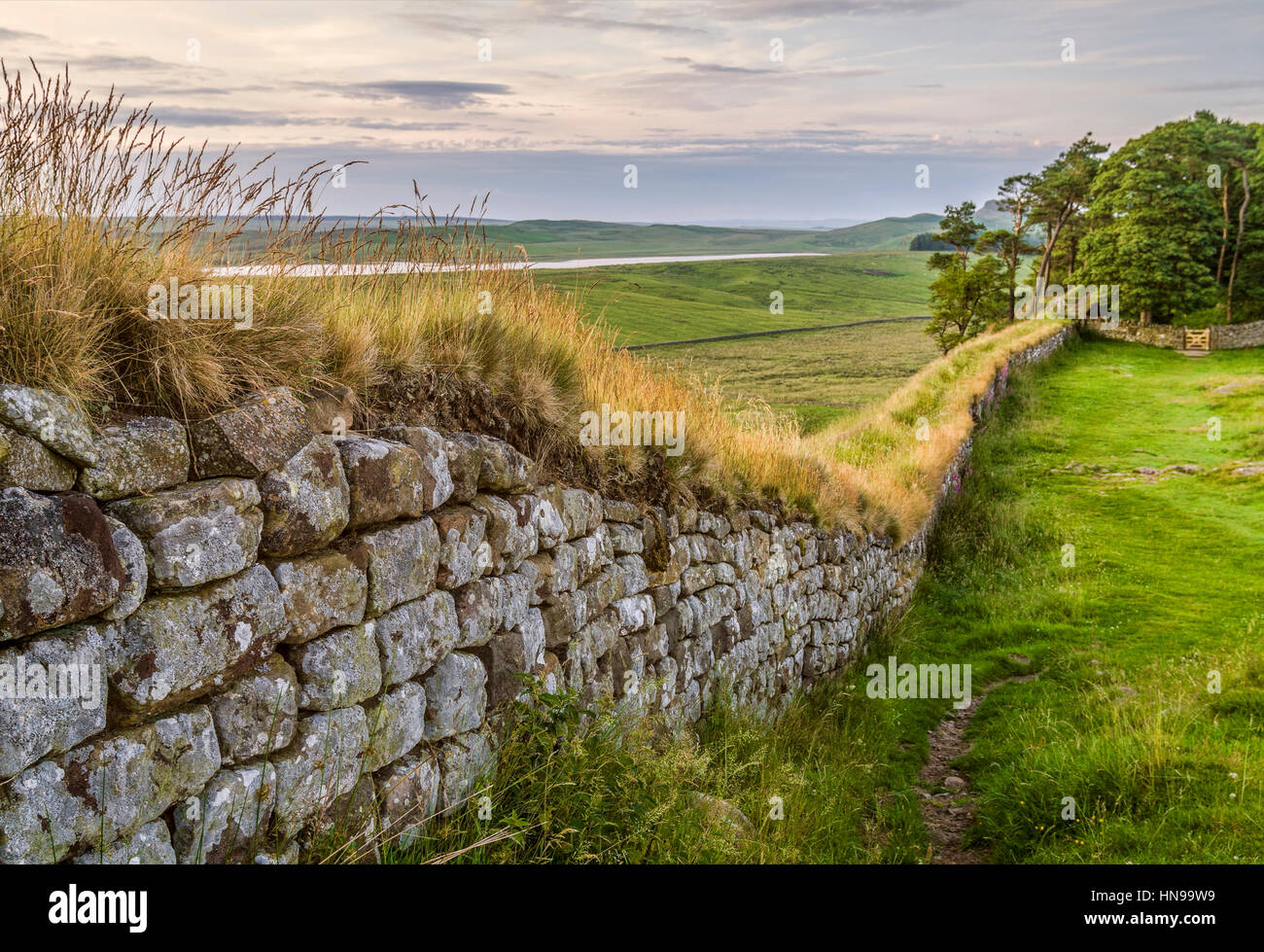 Dusk at the Hadrians Wall, North Cumbria, North England Stock Photo - Alamy