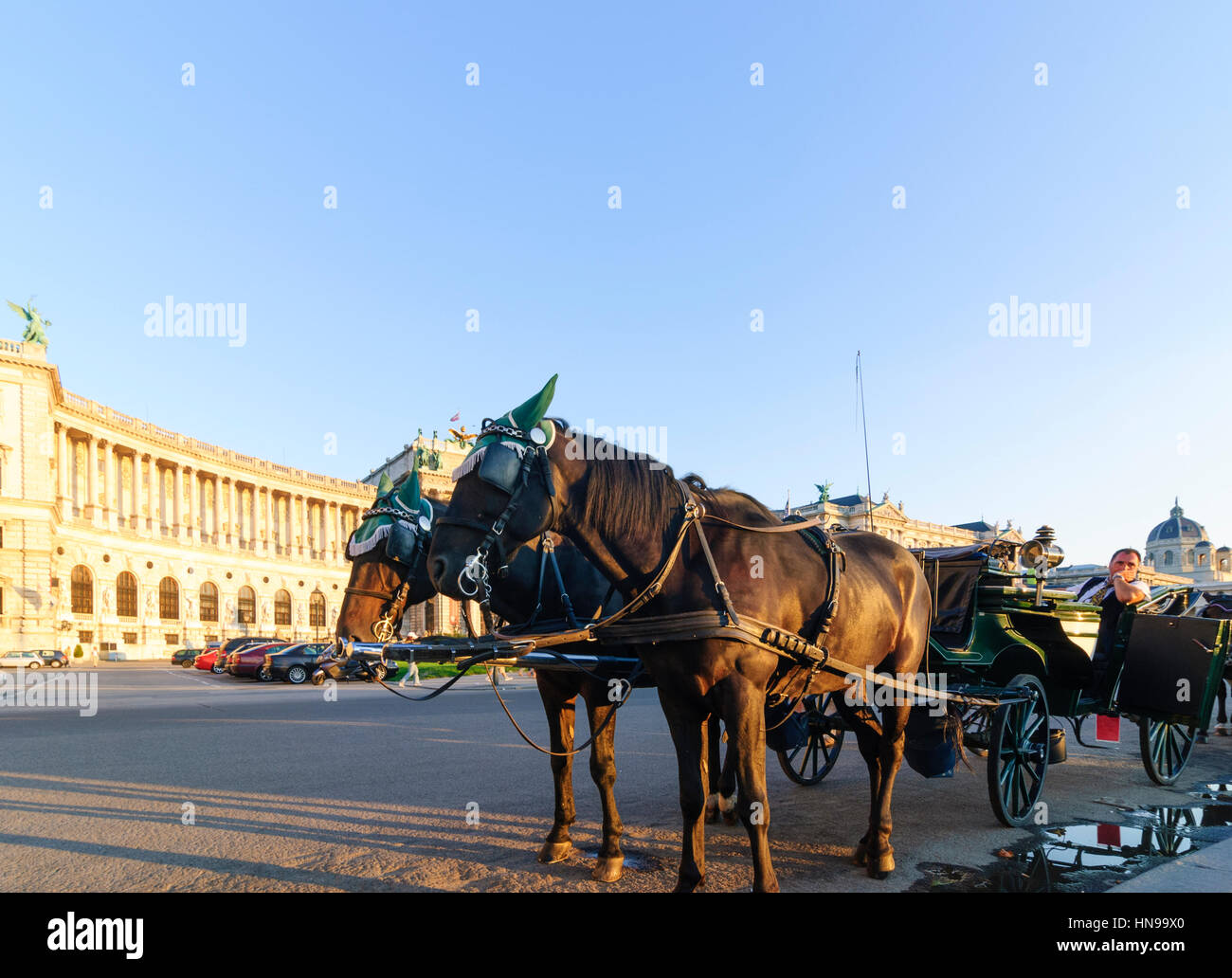 Wien, Vienna, horse cab cabs (Fiaker) in front of Hofburg, 01. Old Town ...