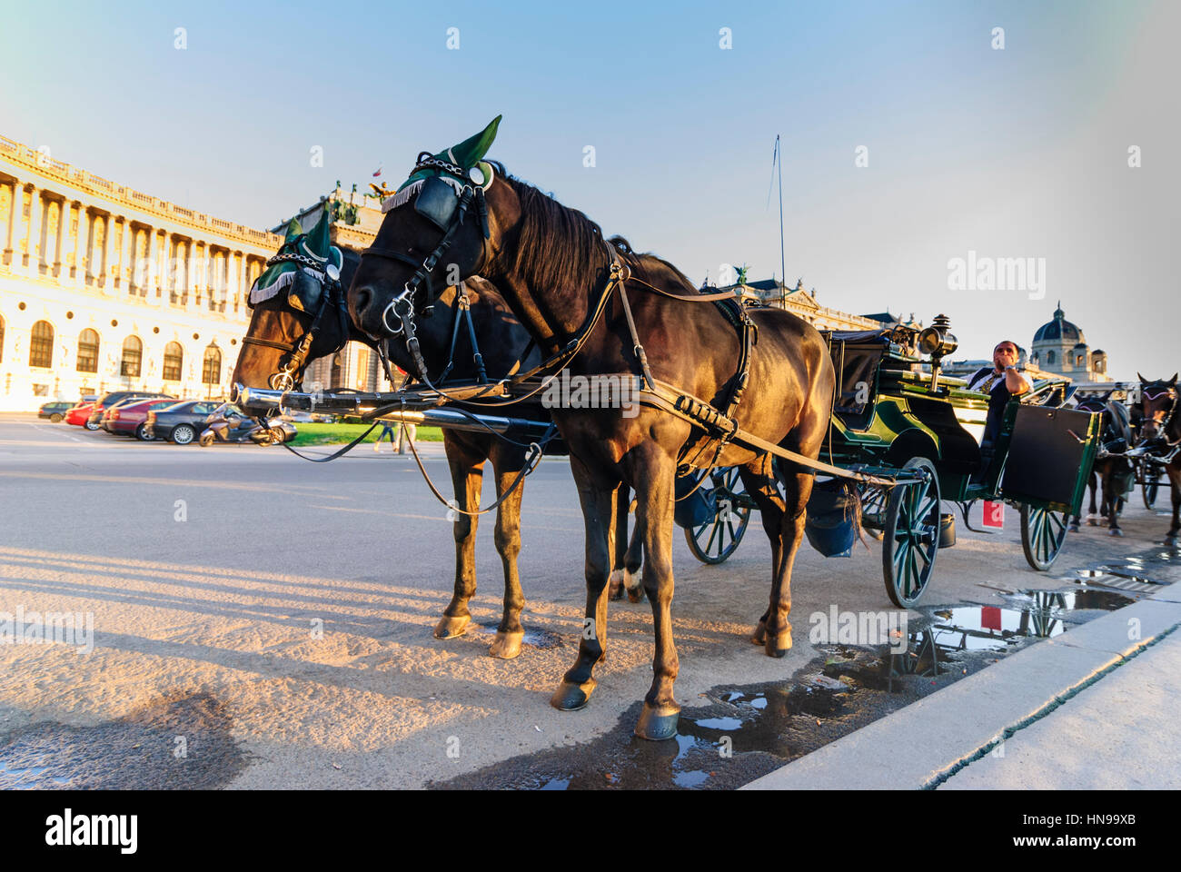 Horse cabs hi-res stock photography and images - Alamy