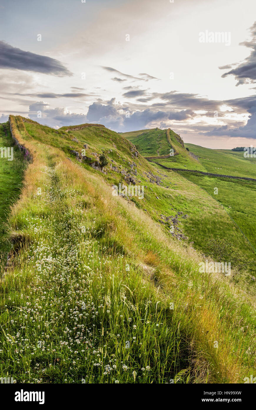 Dawn at the Hadrians Wall, North Cumbria, North England Stock Photo - Alamy