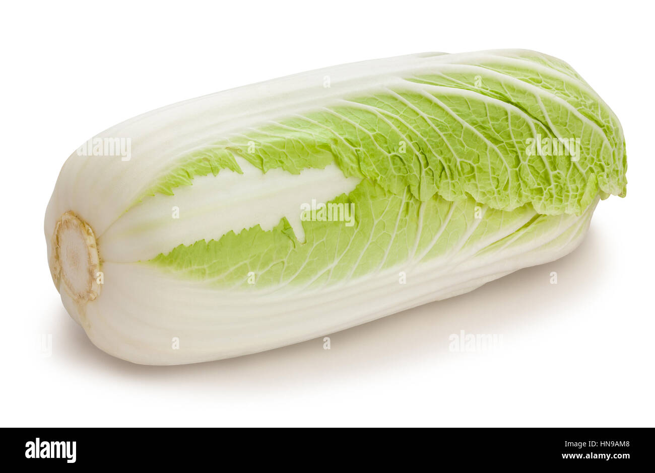 chinese cabbage isolated Stock Photo - Alamy