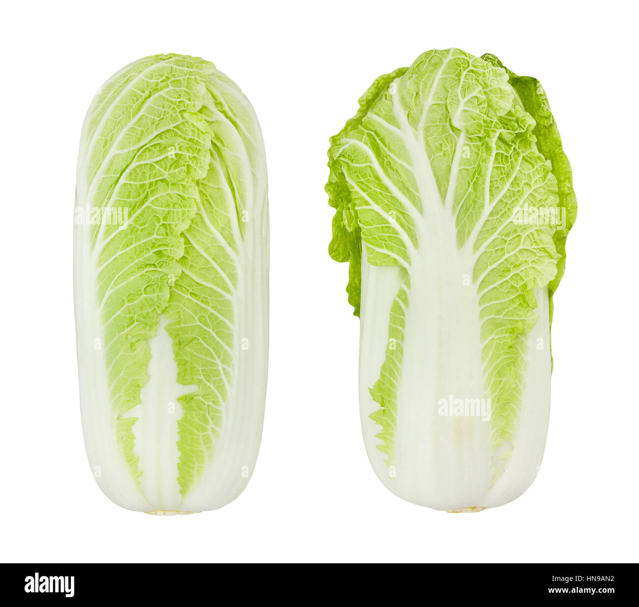 chinese cabbage isolated Stock Photo - Alamy