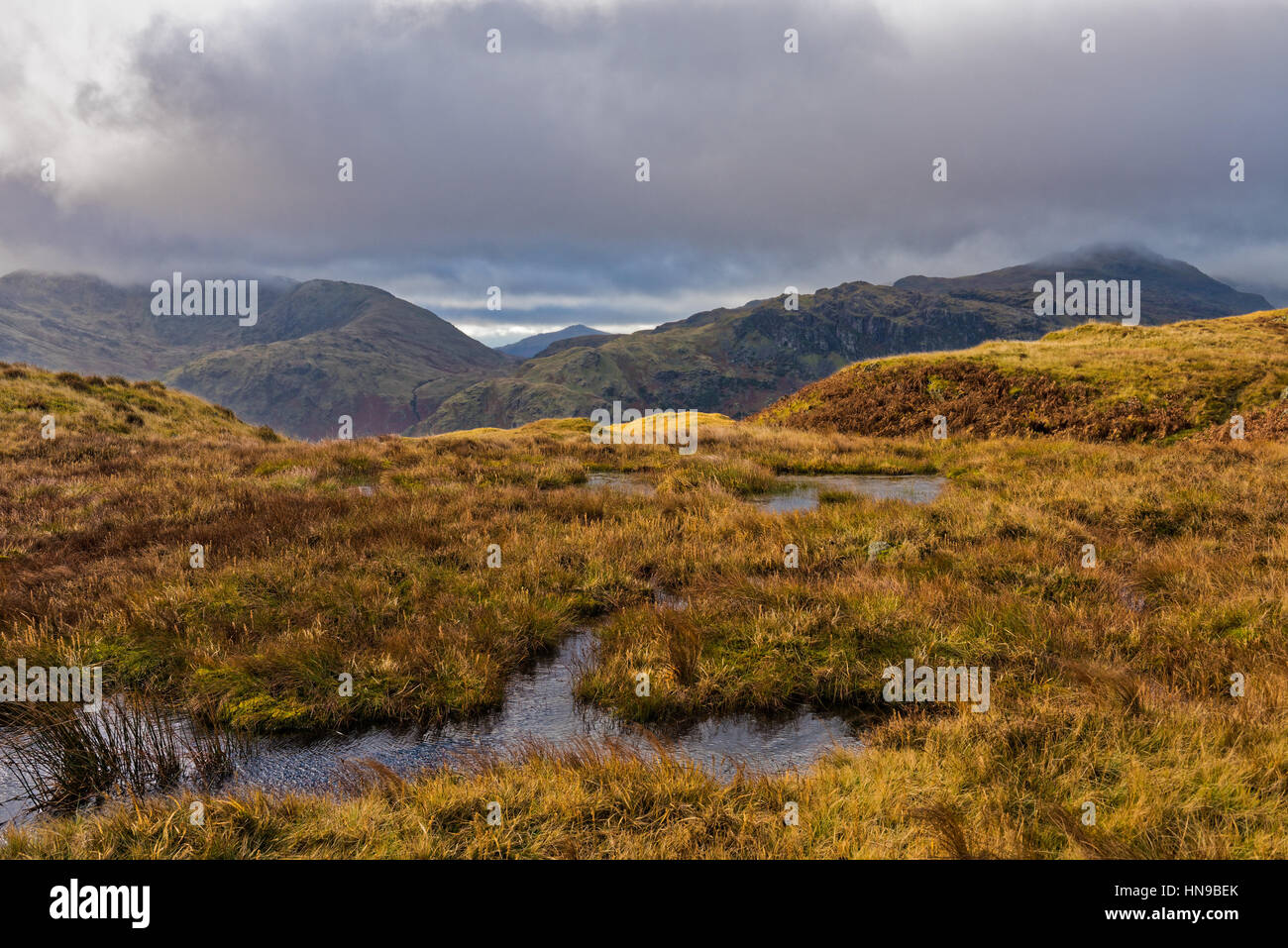 A peat bog on Lingmoor Fell with Swirl How and Wrynose Fell beyond ...