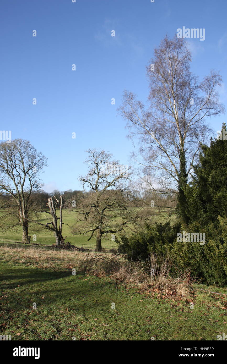 Sparse Grass Stock Photos & Sparse Grass Stock Images - Alamy