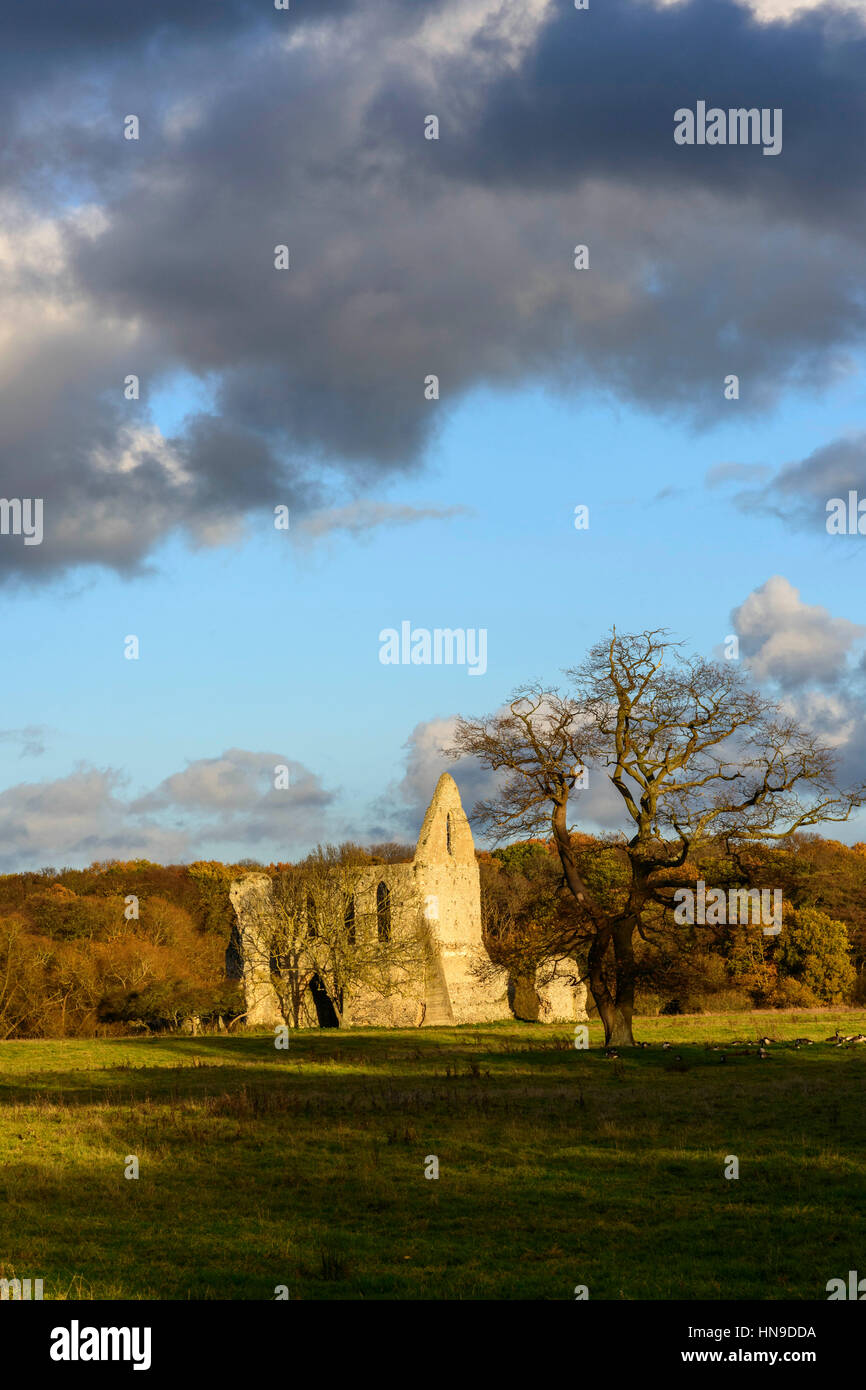 The ruins of Newark Priory, near Ripley,Surrey,England Stock Photo - Alamy