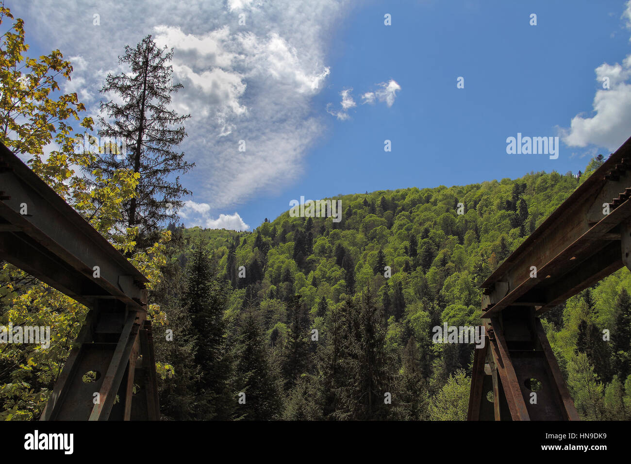 The bridge, the sky and the forest Stock Photo - Alamy