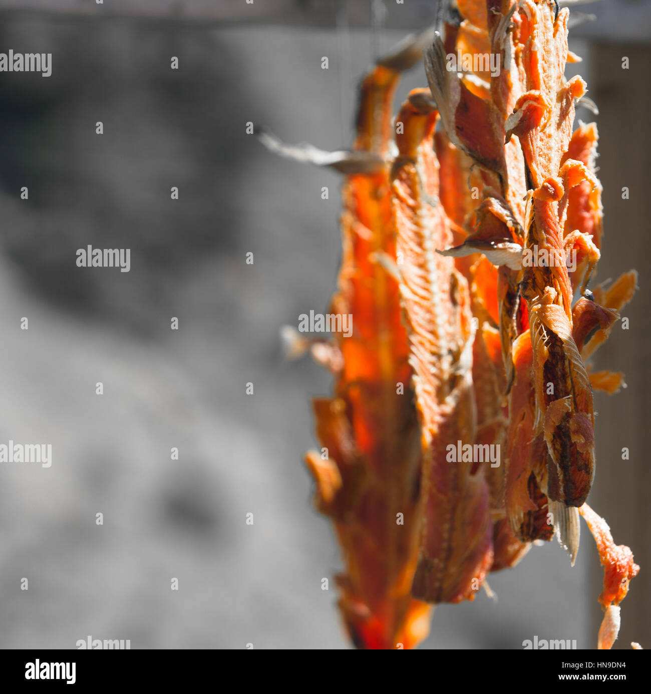 Aboriginal fishing hi-res stock photography and images - Alamy