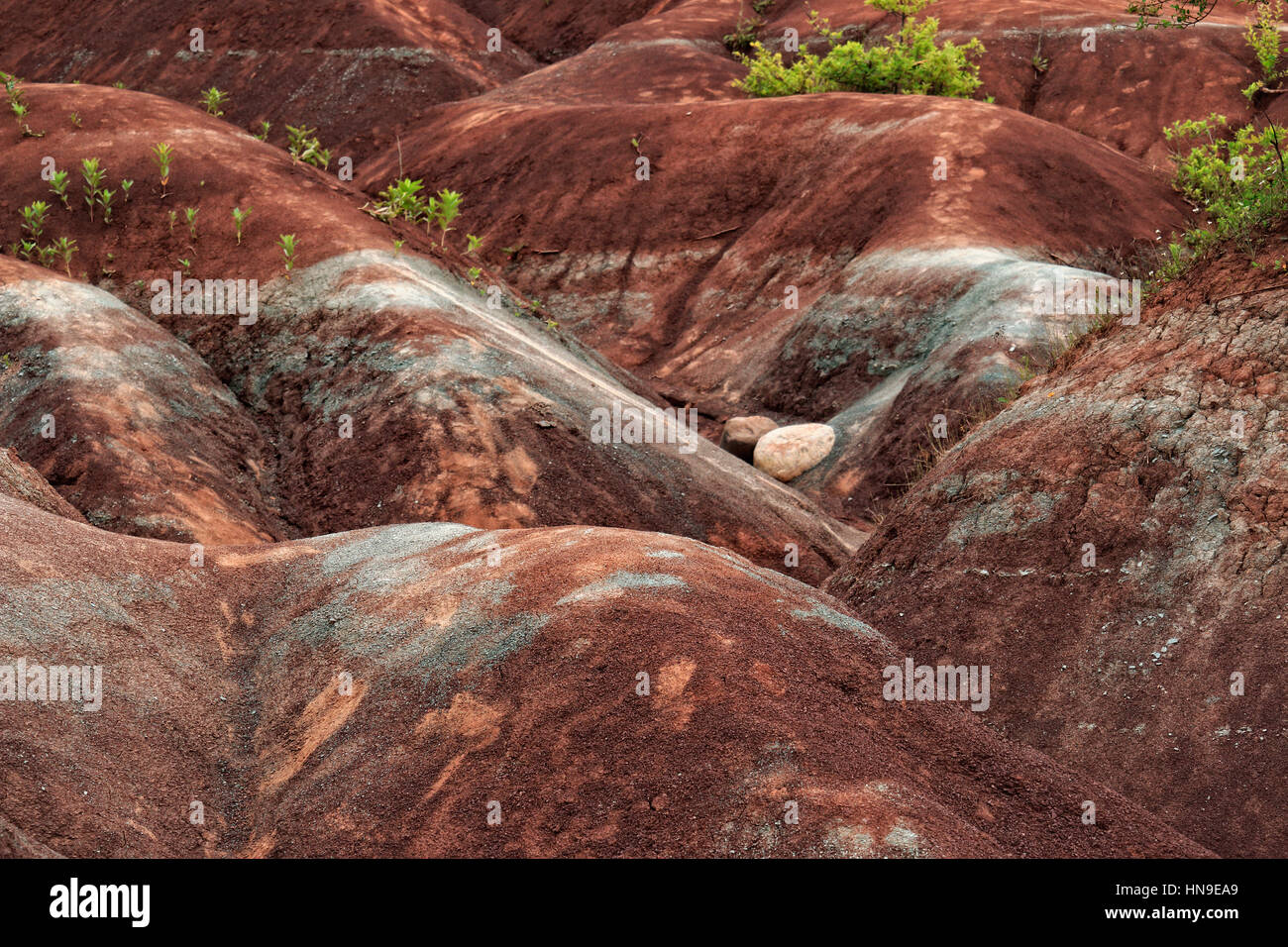 Rock formation of Cheltenham Badlands is located in Caledon, Ontario ...