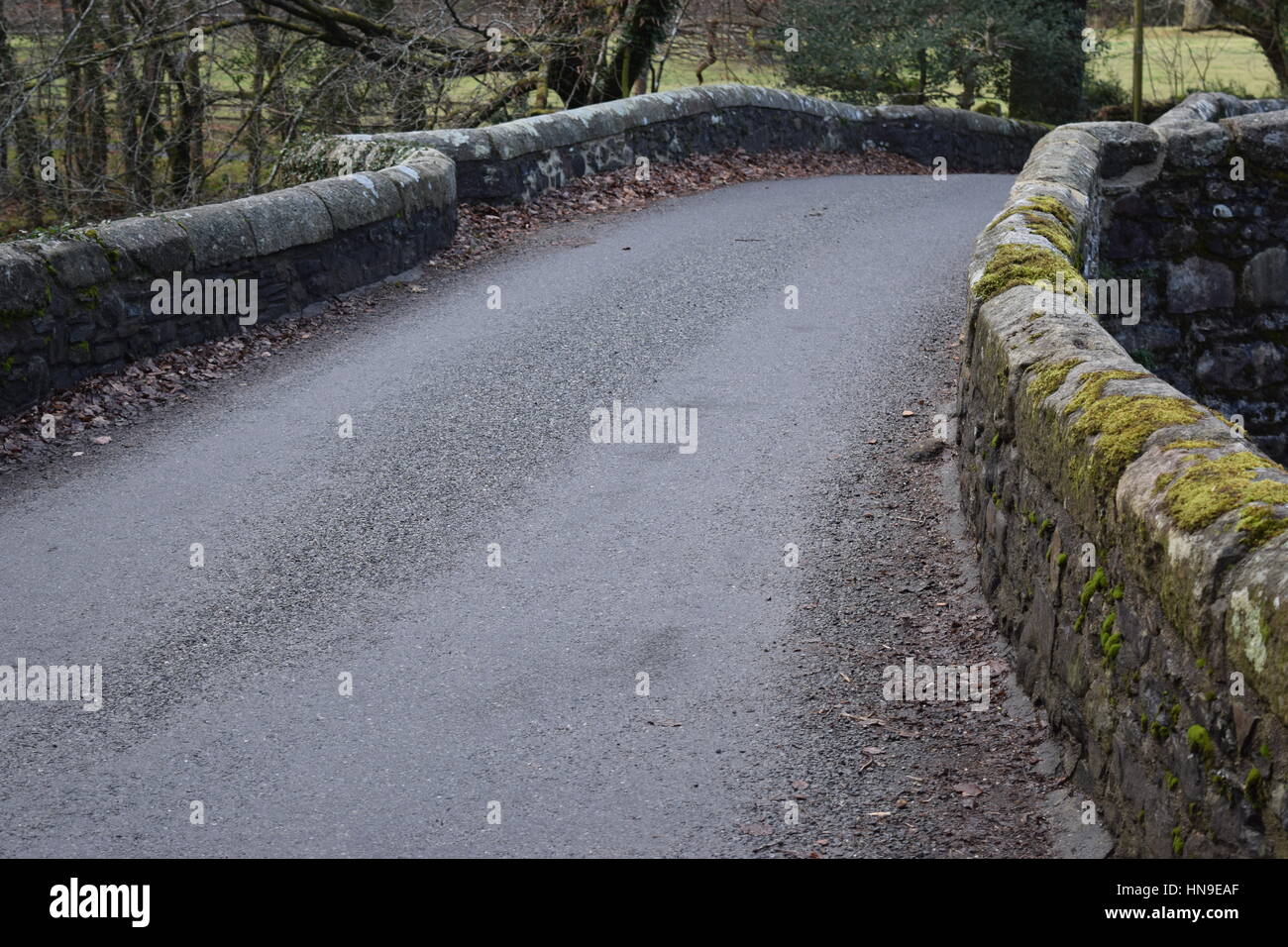 Narrow countryside road Stock Photo - Alamy