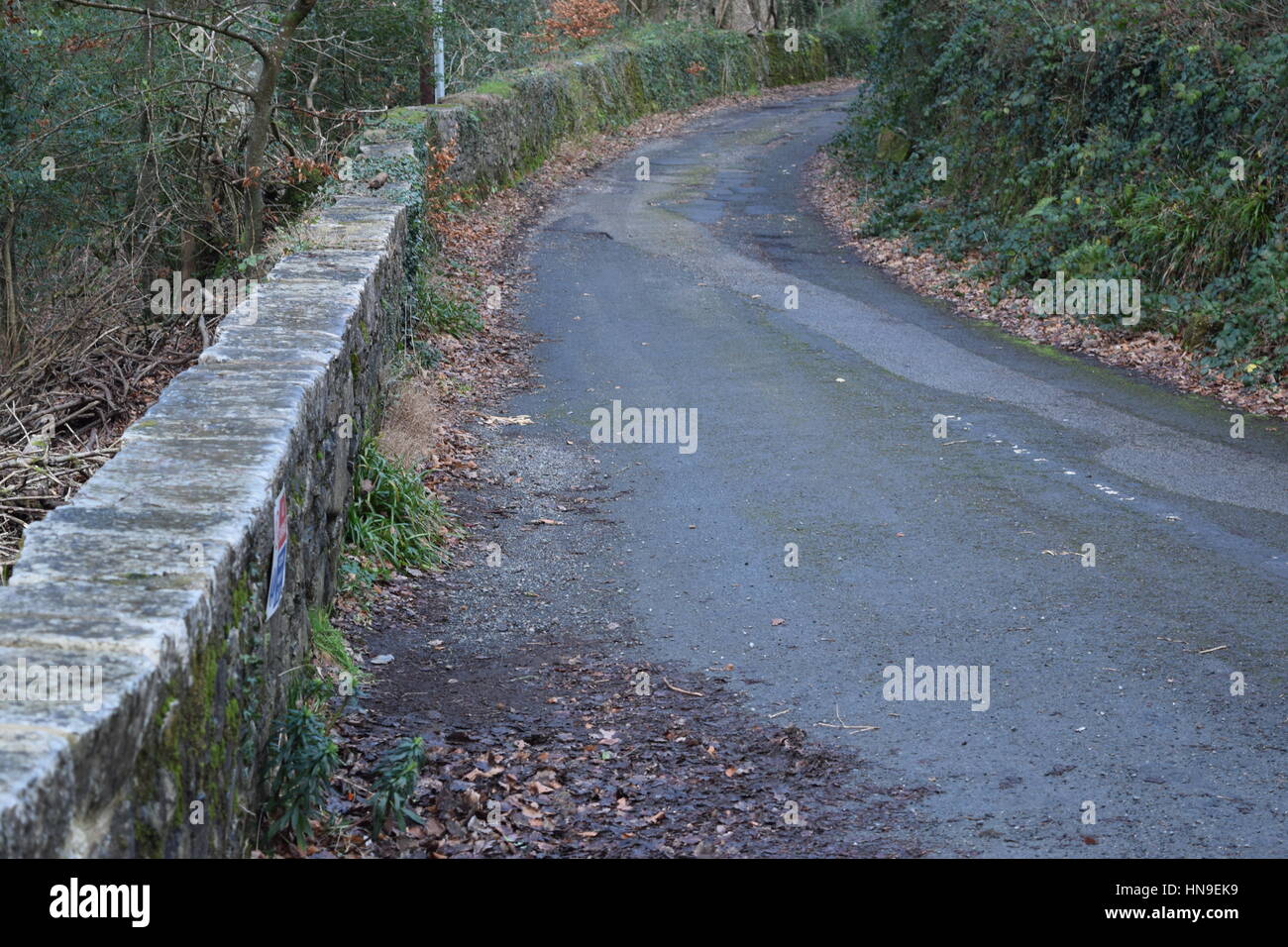 Long narrow gravel road hi-res stock photography and images - Alamy