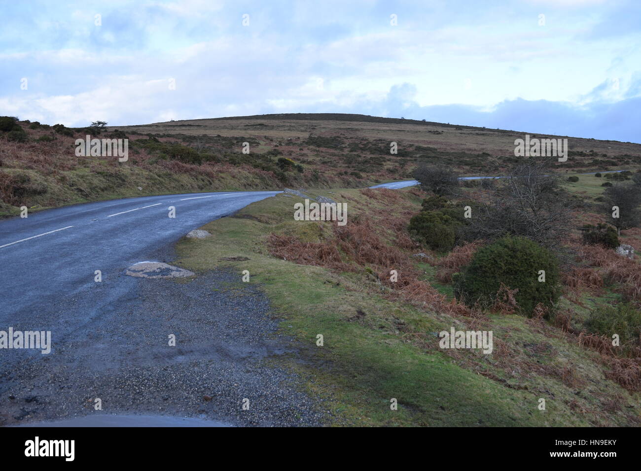Dull morning landscape with green meadow and wet road Stock Photo - Alamy