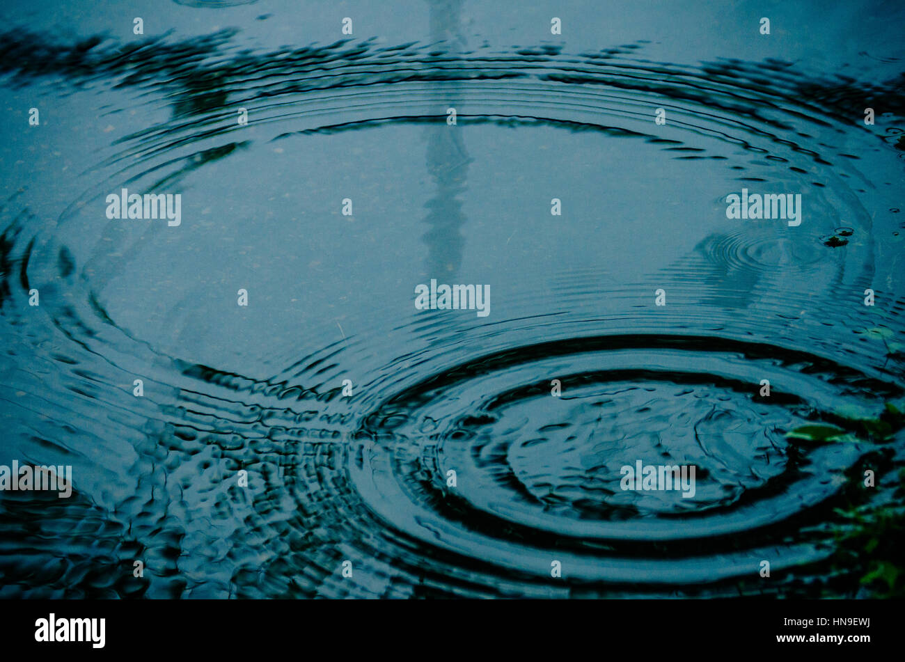 Raindrops form circles on puddles or water on city street Stock Photo ...