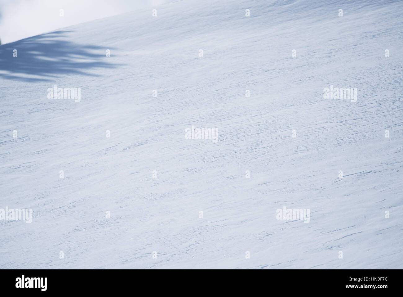 Snow snow field hi-res stock photography and images - Alamy