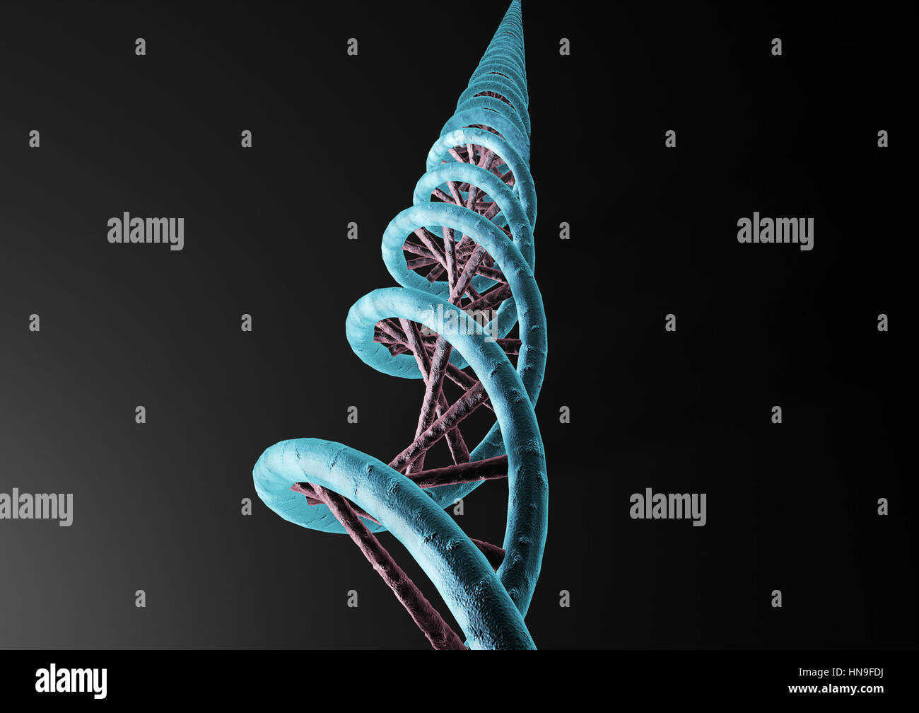 Helical structure of dna hi-res stock photography and images - Alamy