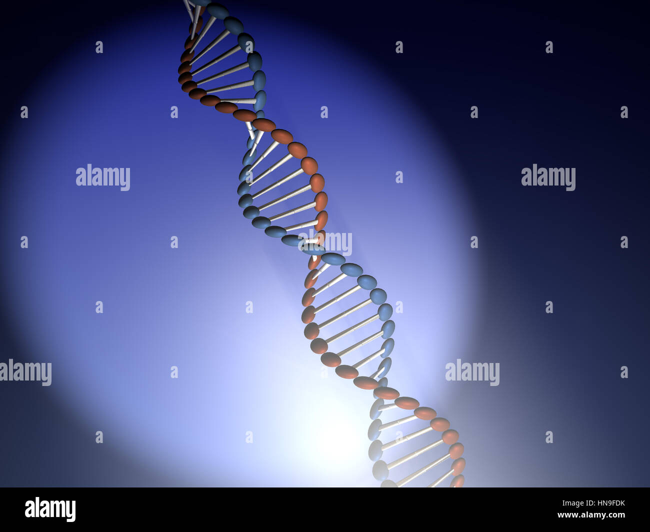 CG reconstruction of DNA chain Stock Photo - Alamy