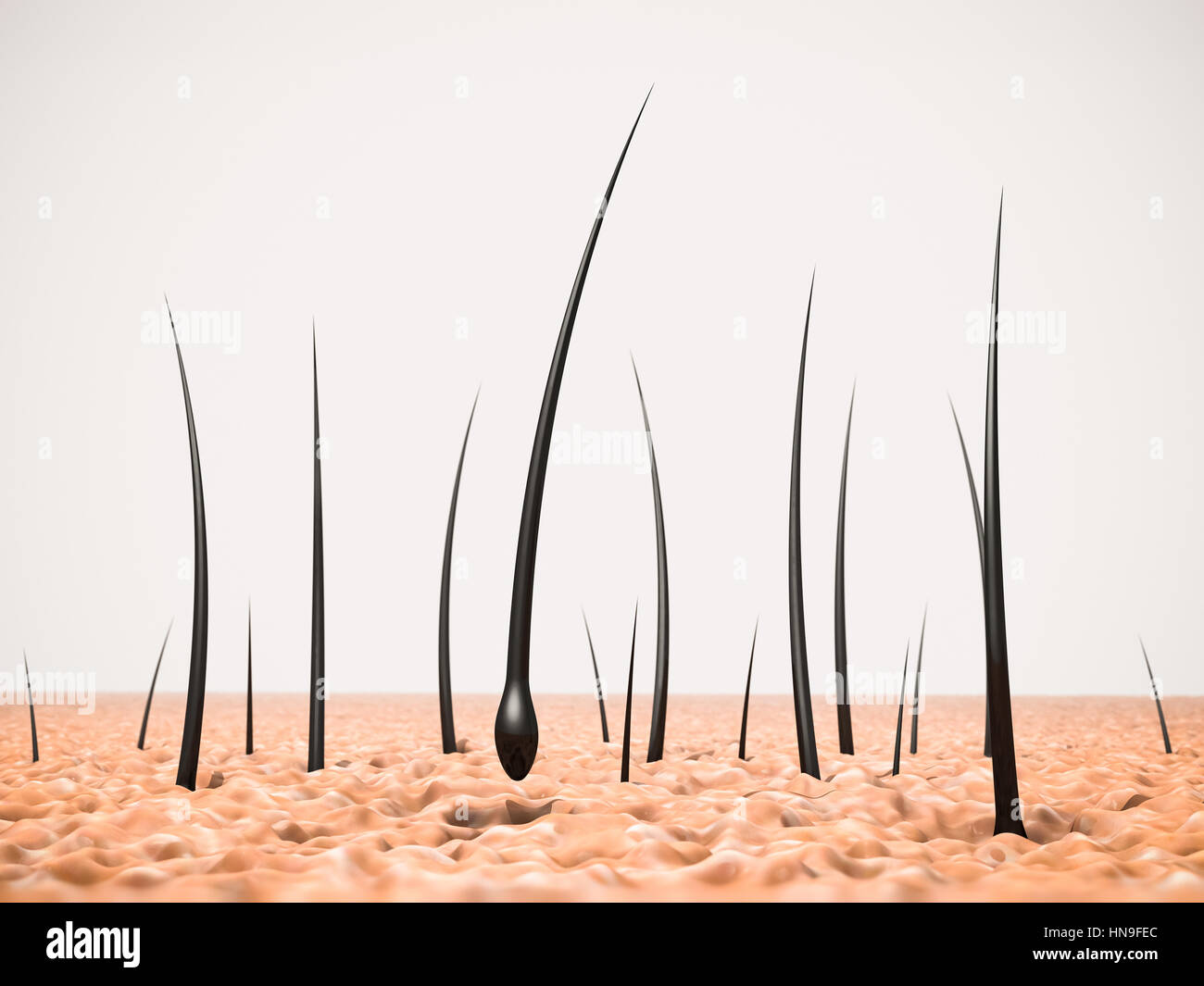 No hair roots hi-res stock photography and images - Alamy