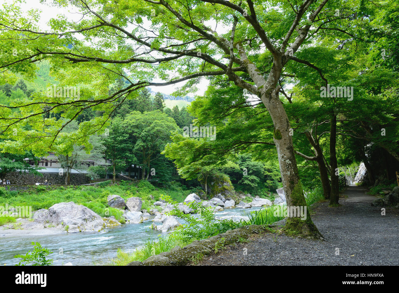 Otaki river hi-res stock photography and images - Alamy