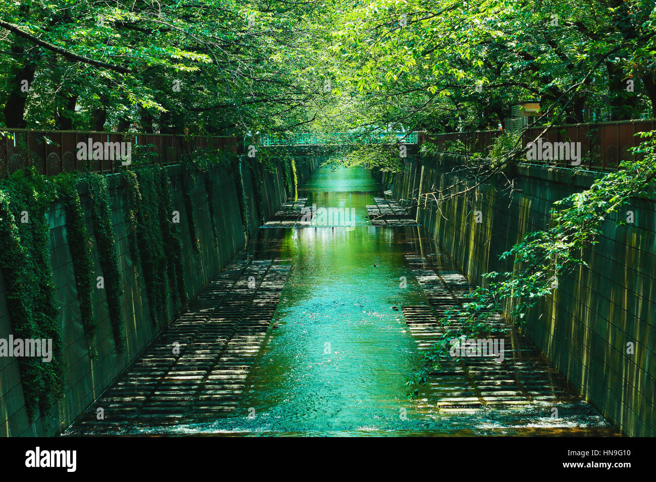 Tokyo embankment river hi-res stock photography and images - Alamy