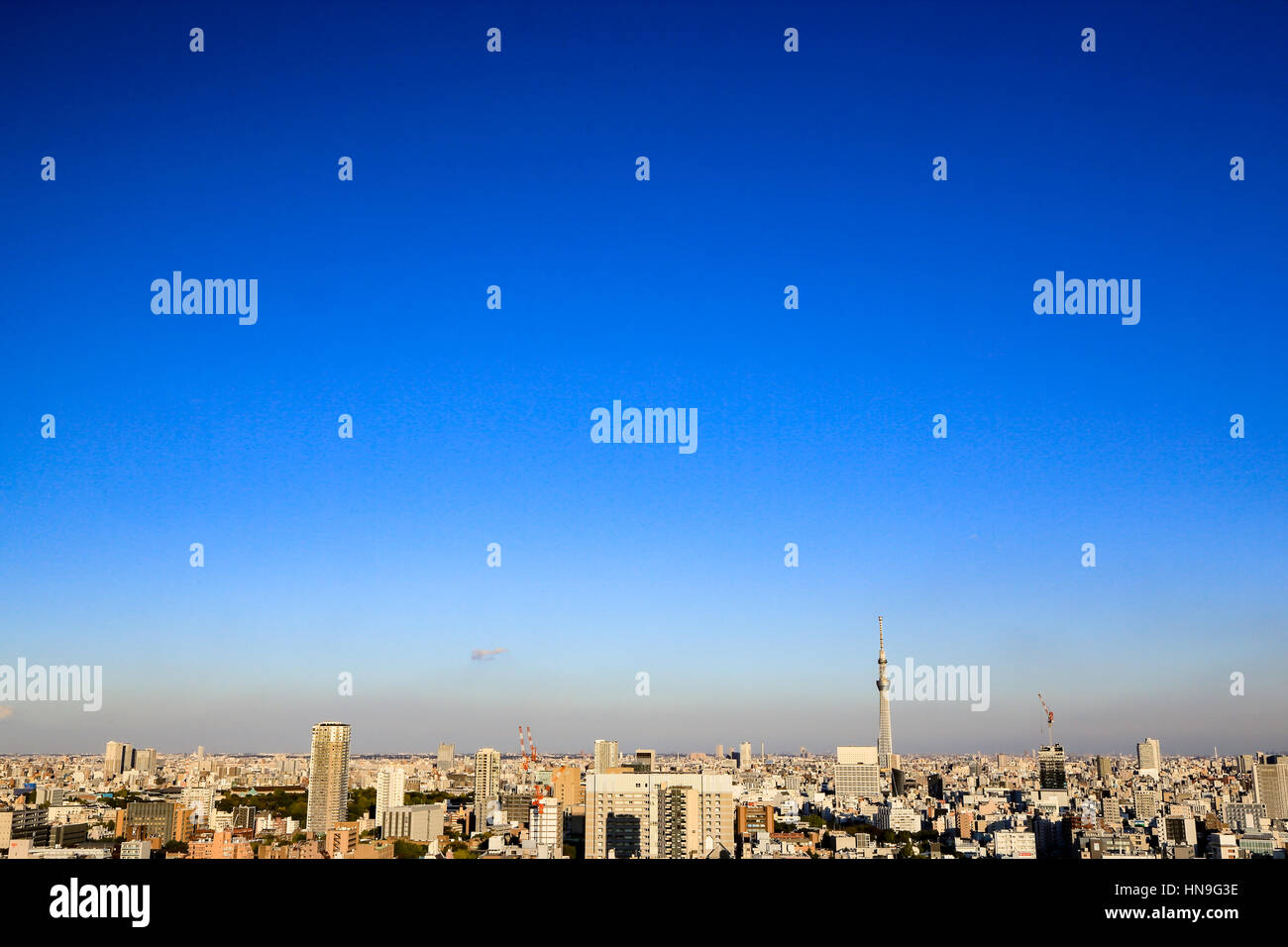 Tokyo cityscape and blue sky, Tokyo, Japan Stock Photo - Alamy