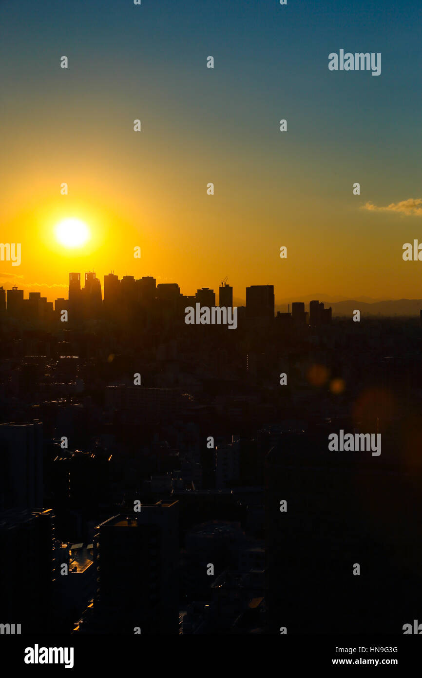 Tokyo cityscape at sunset, Tokyo, Japan Stock Photo - Alamy