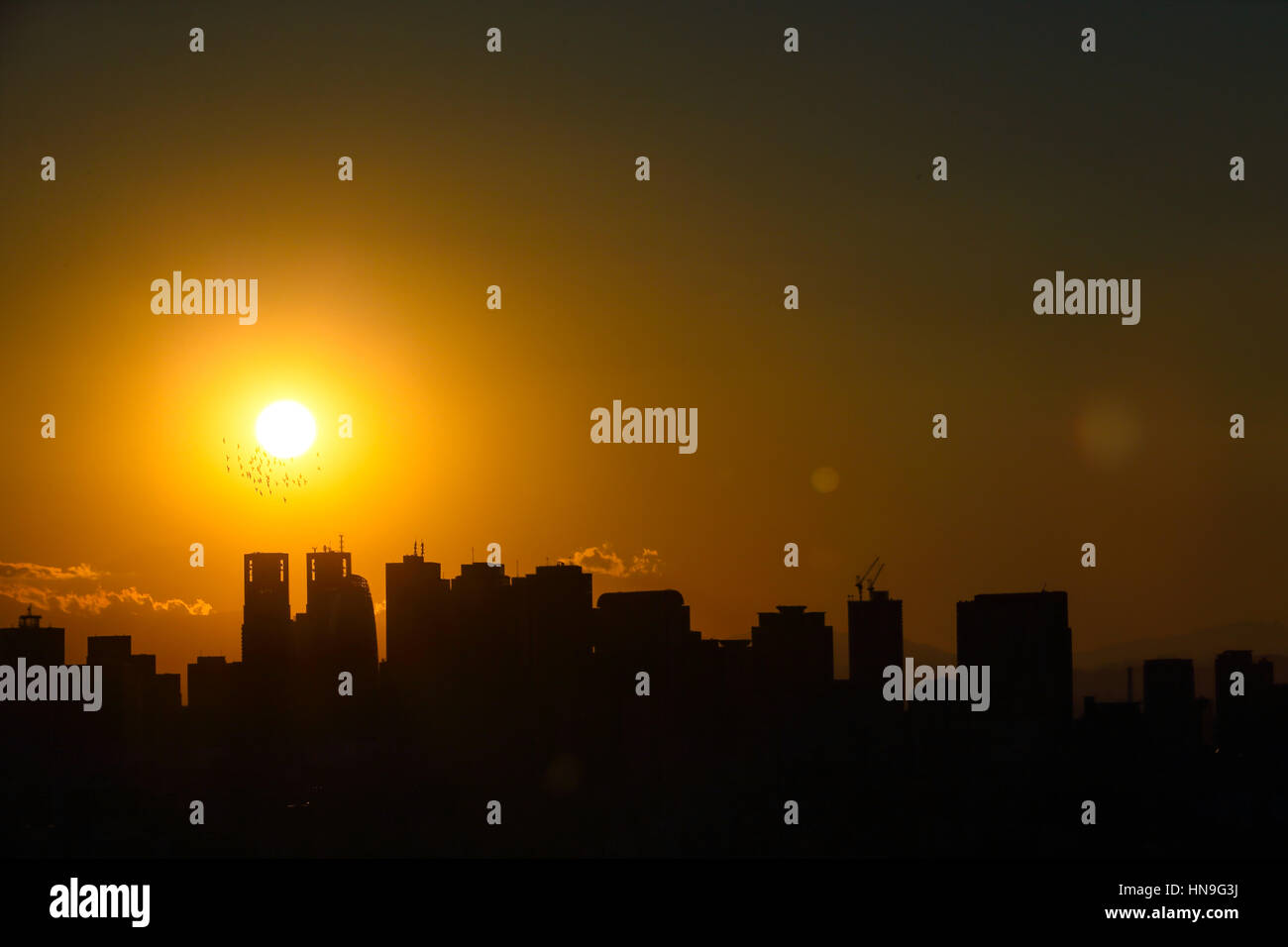 Tokyo cityscape at sunset, Tokyo, Japan Stock Photo - Alamy