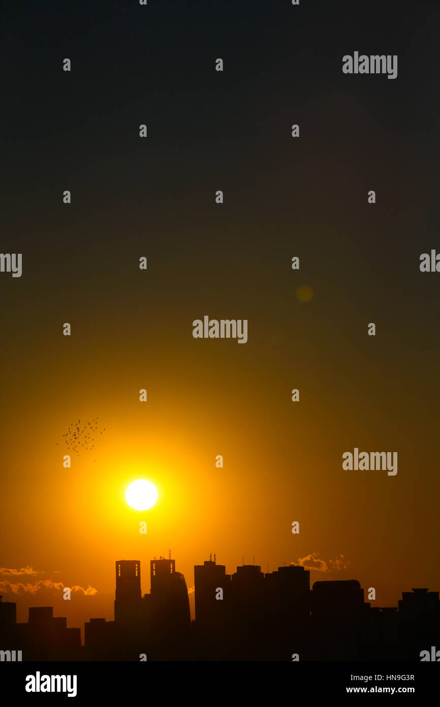 Tokyo cityscape at sunset, Tokyo, Japan Stock Photo - Alamy