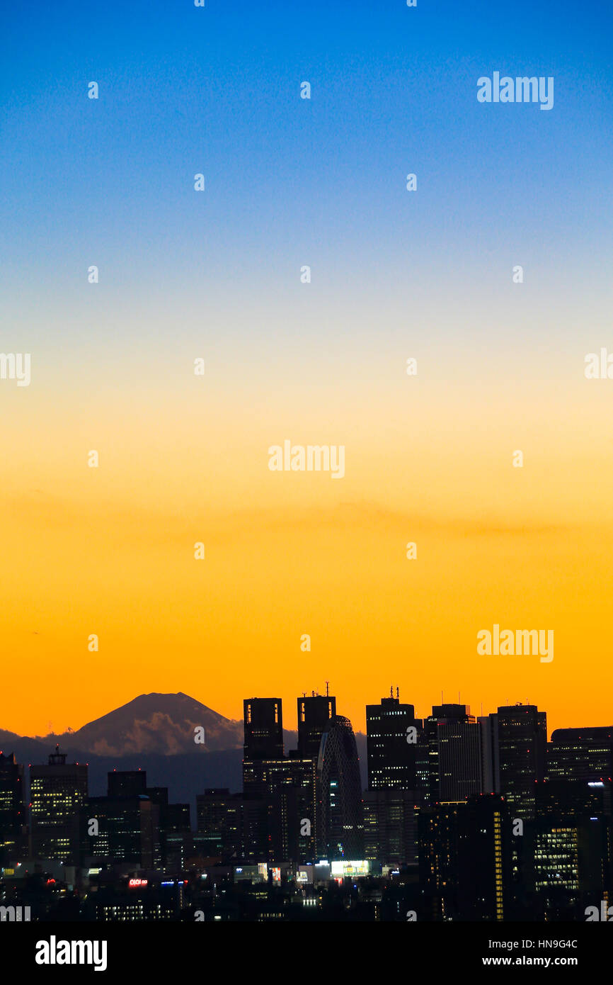 Tokyo cityscape at sunset, Tokyo, Japan Stock Photo - Alamy