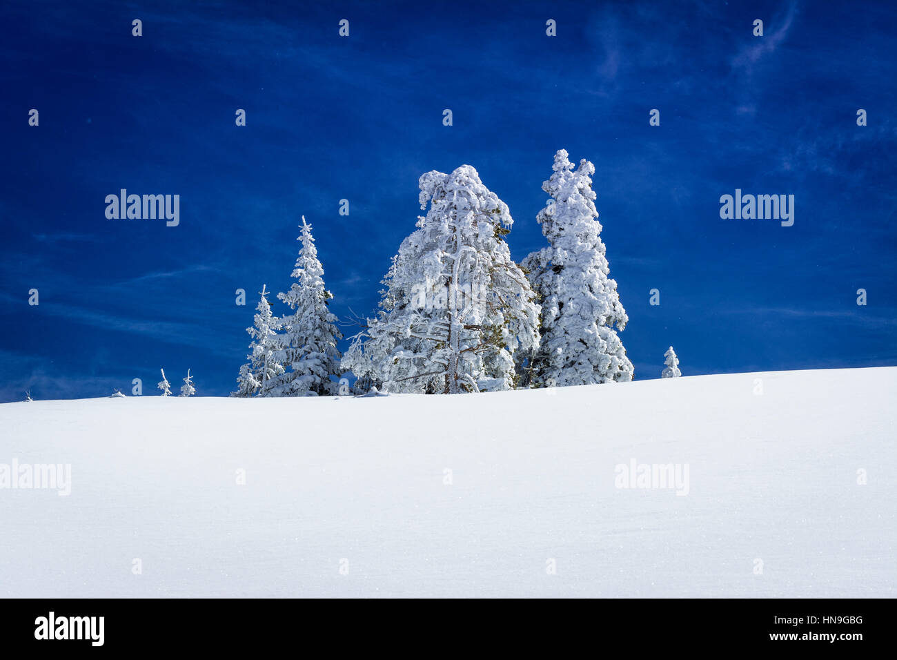 Adams mammoth hi-res stock photography and images - Alamy