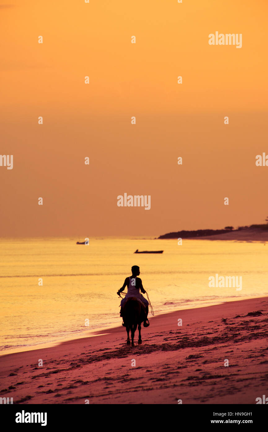 Young man riding a horse on the beach near fishing village of Farallon ...