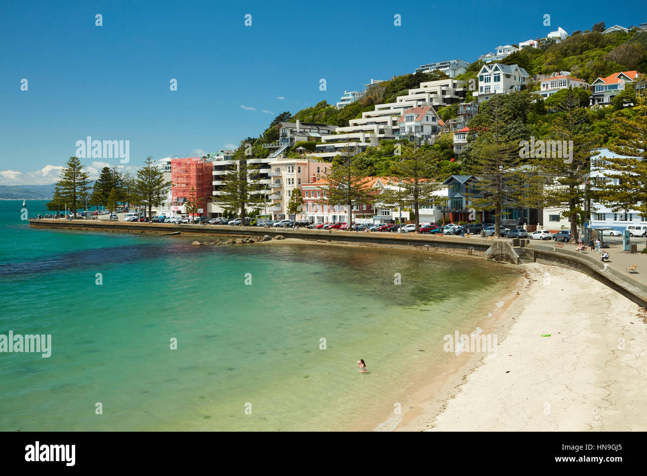 Beach at Oriental Bay, Wellington, North Island, New Zealand Stock ...