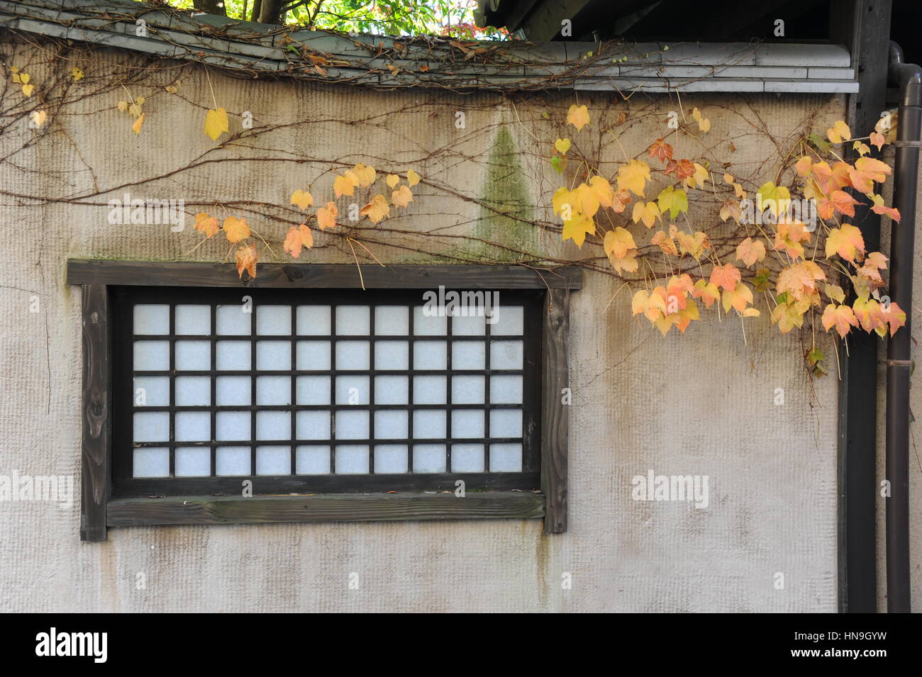travel in Japan Stock Photo - Alamy