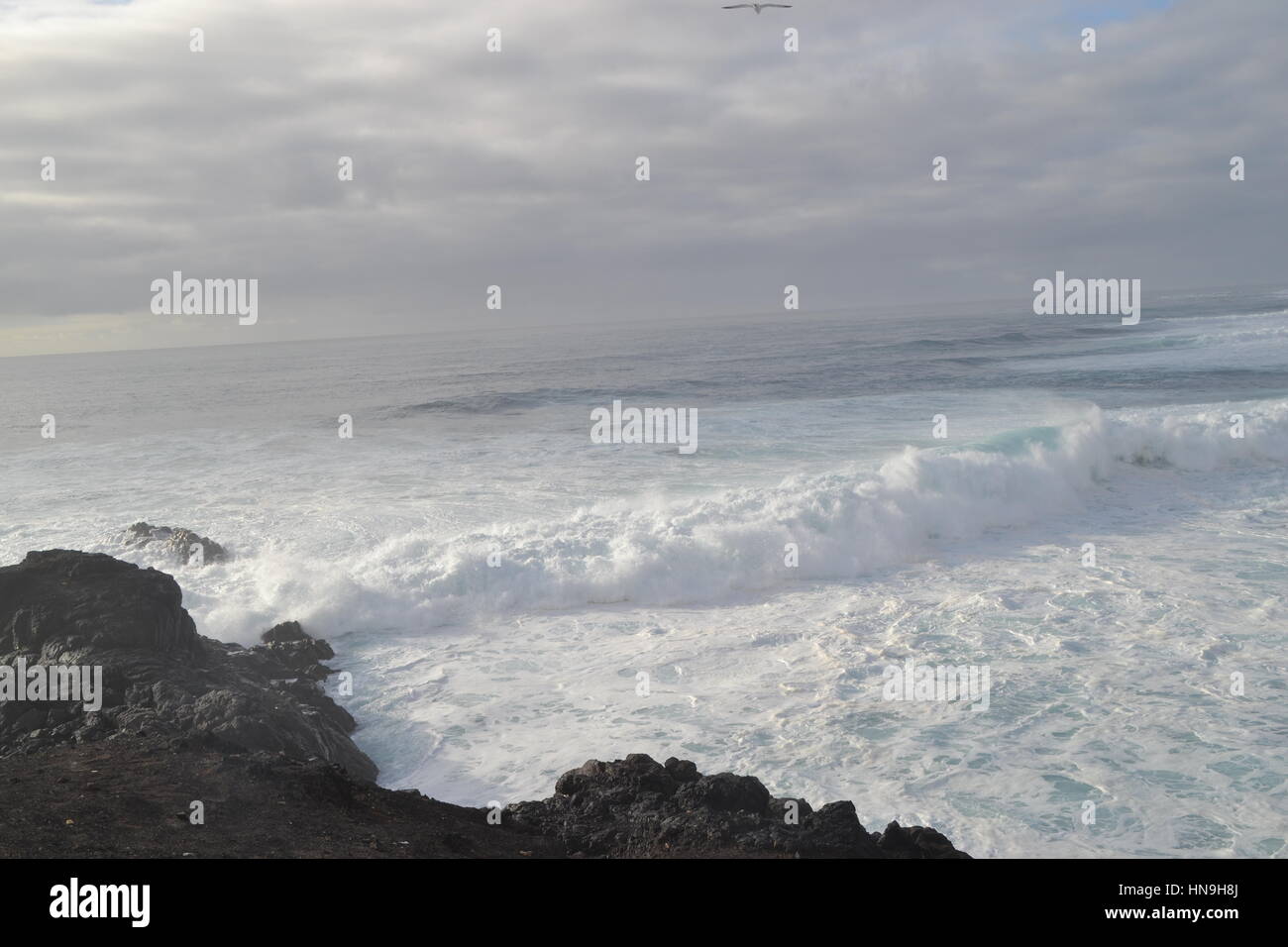 Big waves of the Atlantic ocean on Fuerteventura island, Canary island ...