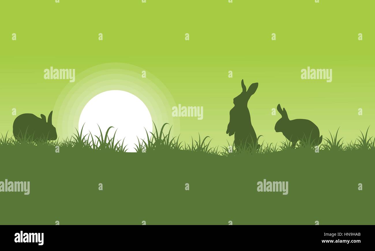 Silhouette of rabbit on green backgrounds vector ilustration Stock ...