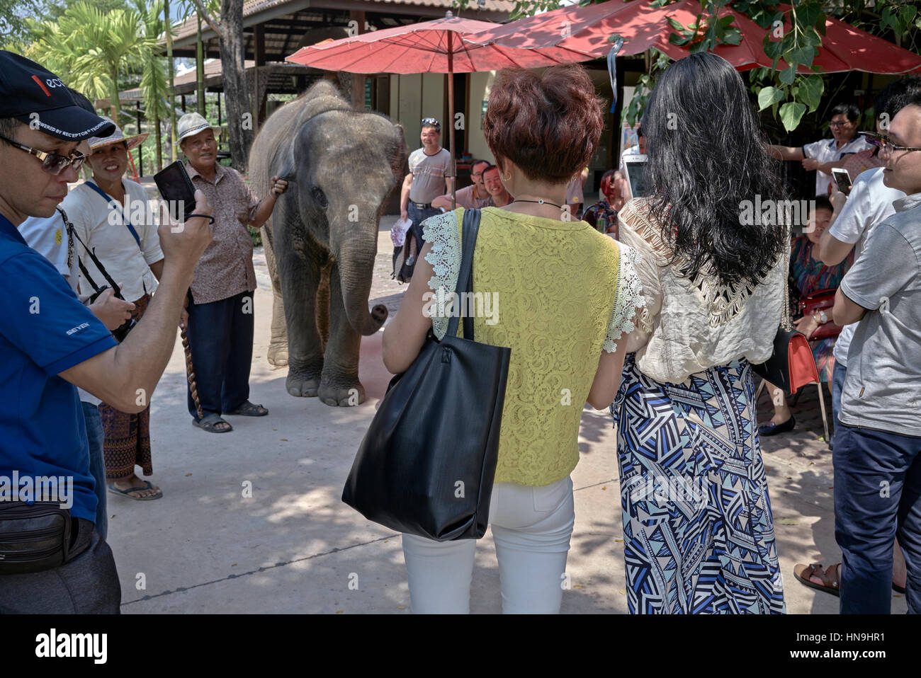 Tourists in Thailand using their smartphone to take photographs of a ...