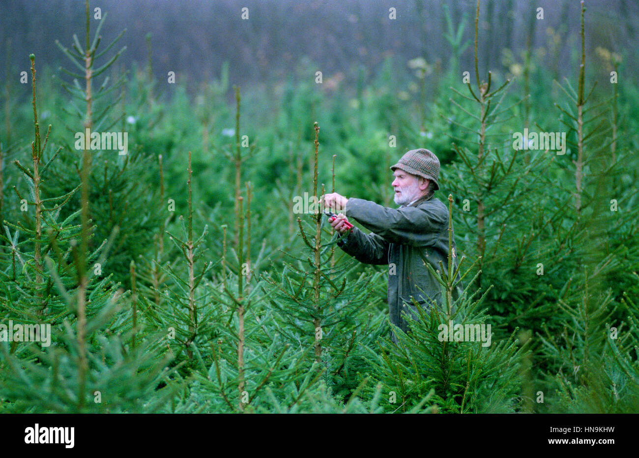 Wilderness wood sussex hi-res stock photography and images - Alamy